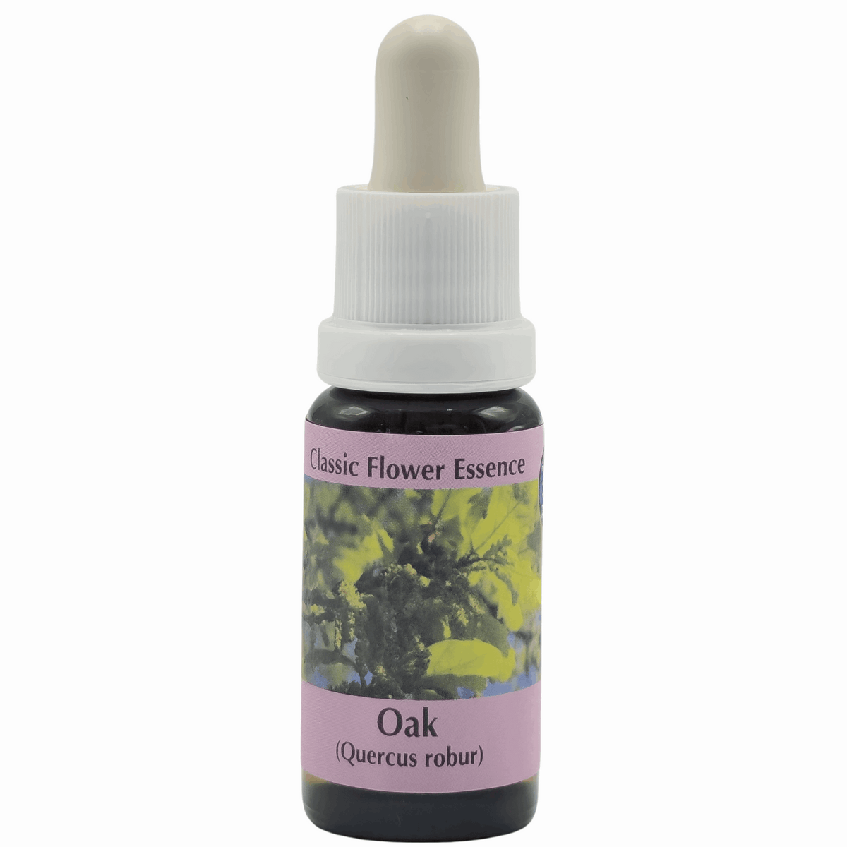 Oak Essence (Oak) - Green Vitality